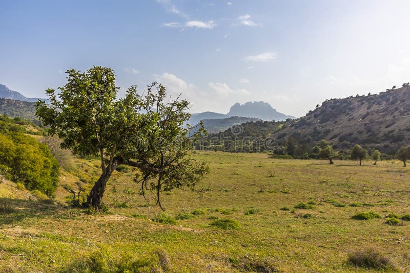 A Shallow Valley with the `Five-fingered` Mountain of the Kyrena ...