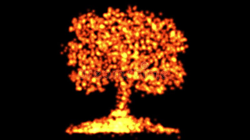 Tree Shape with Fire Effect on Plain Black Background Stock Video ...