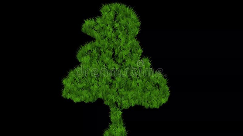 Tree Shape with Green Grass Effect on Plain Black Background Stock ...