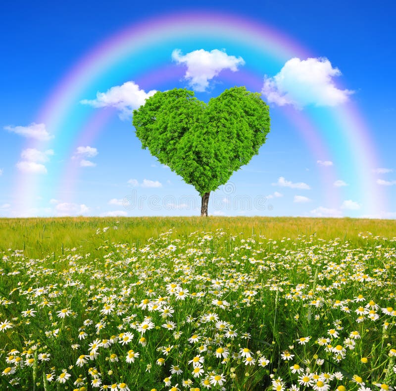 Tree in the shape of heart stock image. Image of bright - 35148327