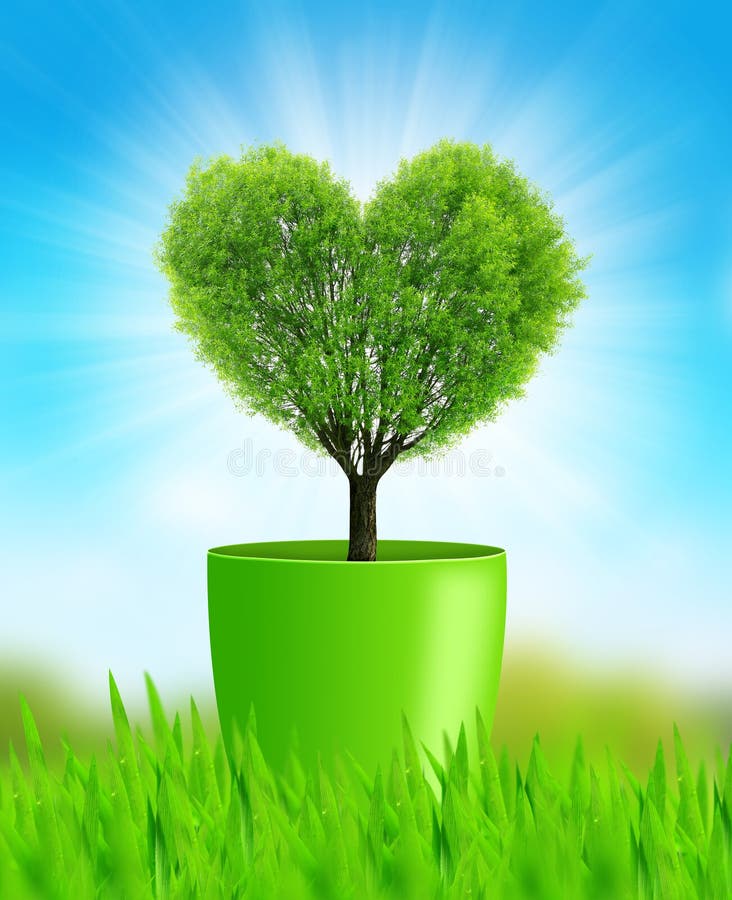 Tree in the shape of heart stock photo. Image of foliage - 31024954