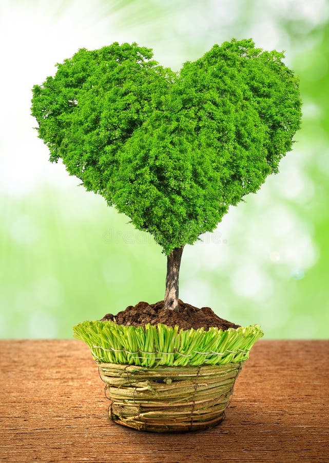 Tree in the shape heart stock photo. Image of natural - 30414542