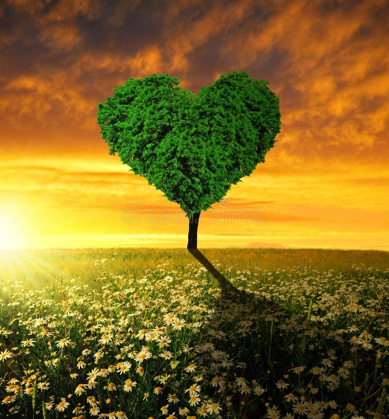 Tree in the shape of heart stock photo. Image of clouds - 35147880
