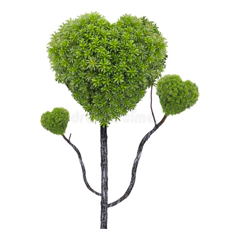 Tree in the shape of heart stock photo. Image of grass - 119261936