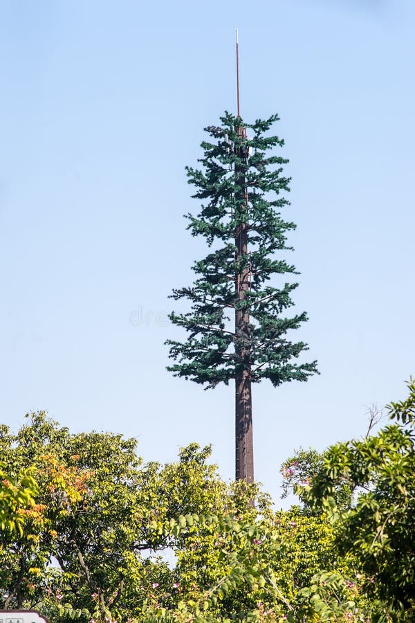 Tree shape signal tower stock image. Image of industrial - 66878471