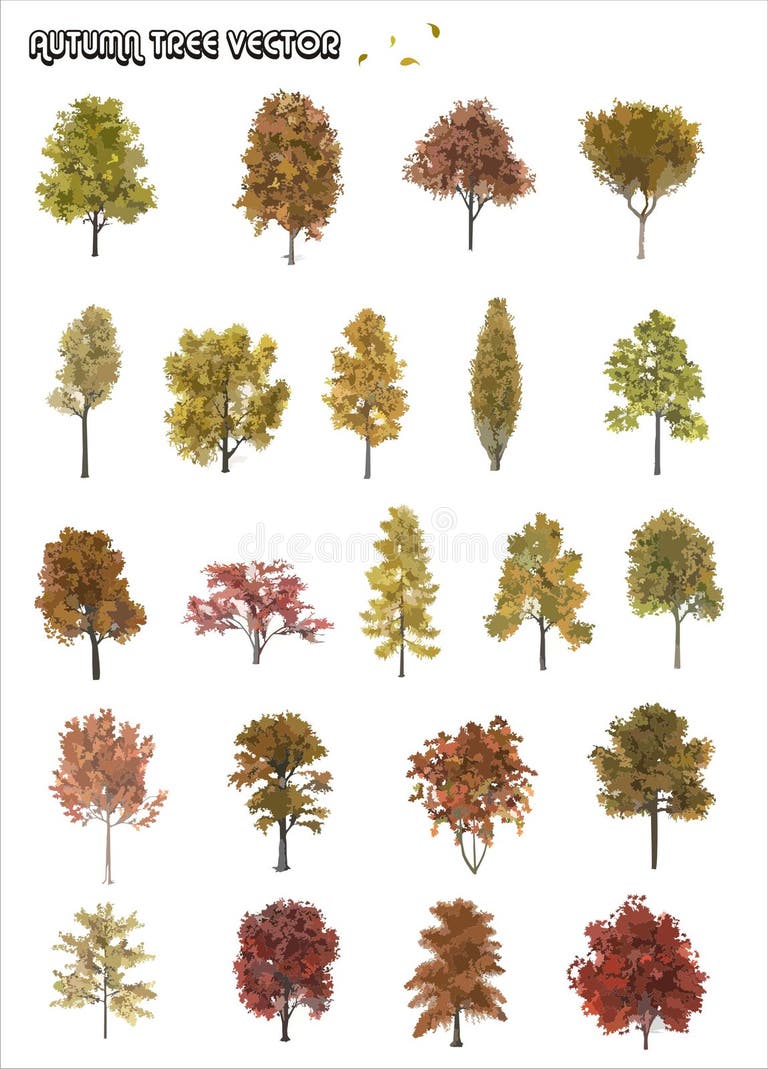 Tree Shapes Stock Illustrations – 92,899 Tree Shapes Stock ...