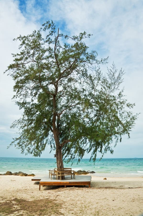 A Tree on Shore stock image. Image of rural, peaceful - 19016817