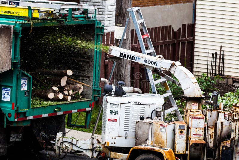 Tree Shredder Machine in Action and Workers Pushing Branches Int ...