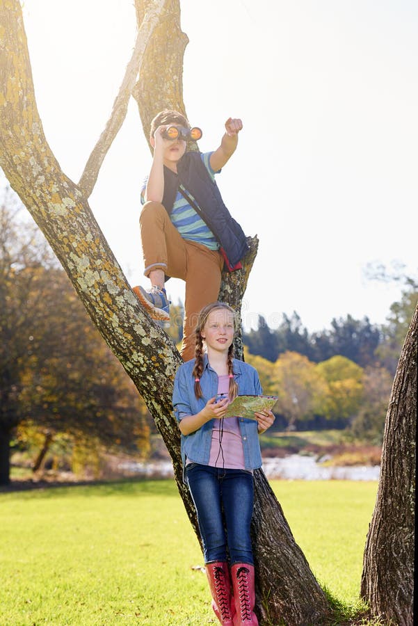 Tree, Siblings and Search with Binoculars, Pointing and Explore with ...