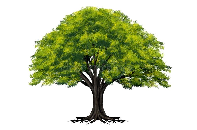 White Christmas Tree Side View Stock Illustrations – 129 White ...