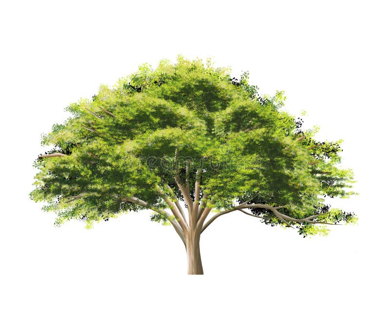Green Tree side view stock image. Image of landscape - 217616263