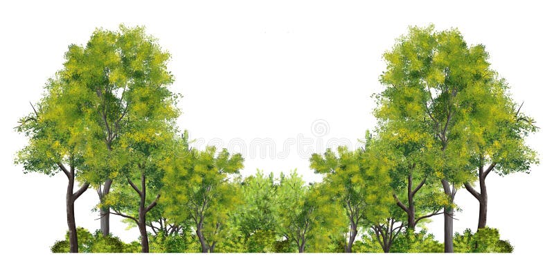 Green Tree side view stock image. Image of side, layout - 217616271