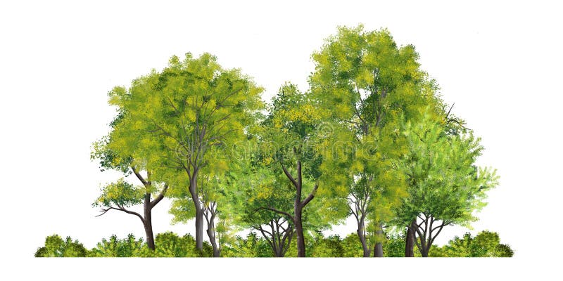 Green Tree side view stock photo. Image of watercolor - 217616278