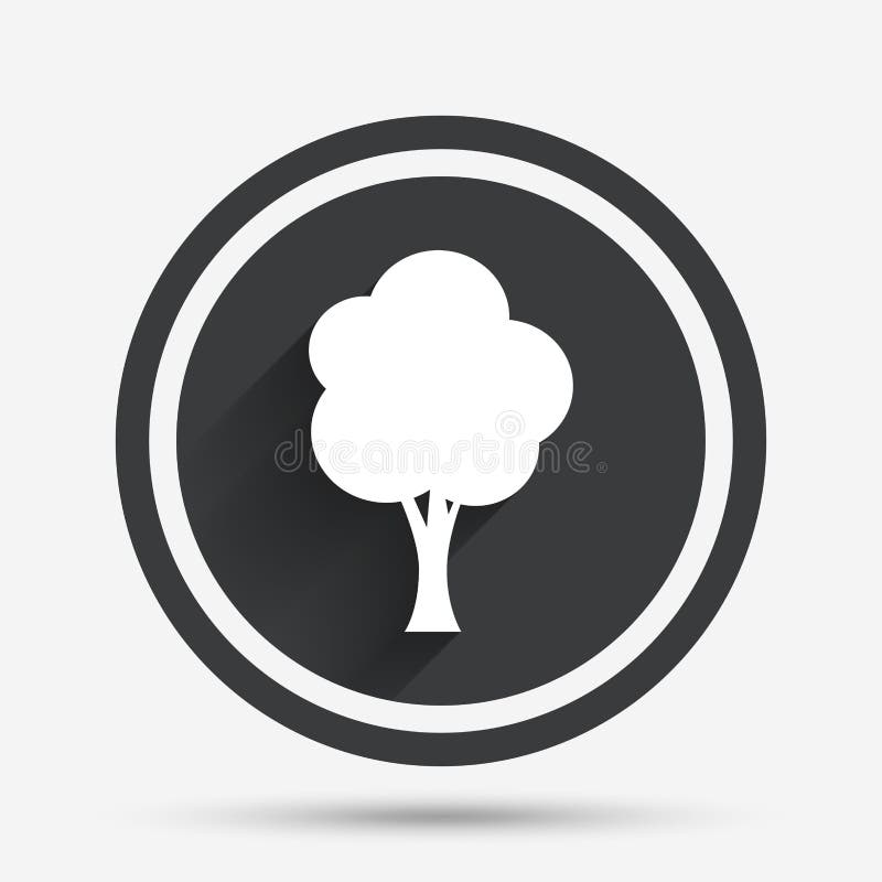 Tree Sign Icon. Forest Symbol Stock Vector - Illustration of park ...