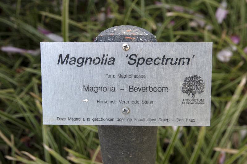 Tree Sign Magnolia Spectrum at Amsterdam the Netherlands 7-4-2020 ...