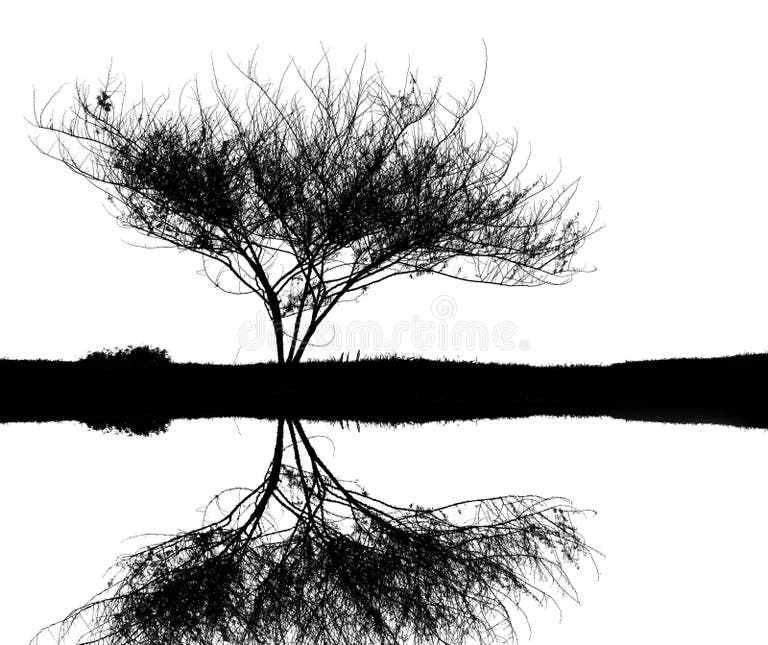 Inverted Tree Stock Illustrations – 412 Inverted Tree Stock ...
