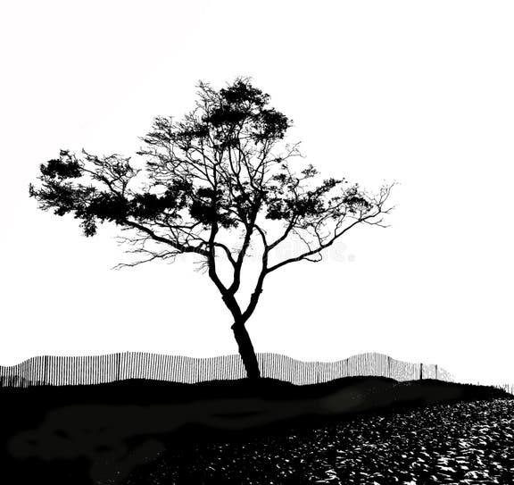 Silhouette Tree Road Stock Illustrations – 13,553 Silhouette Tree Road ...