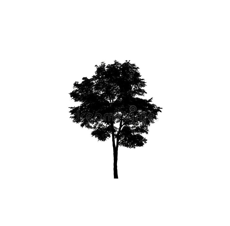 Rustic Alpha Stock Illustrations – 310 Rustic Alpha Stock Illustrations ...