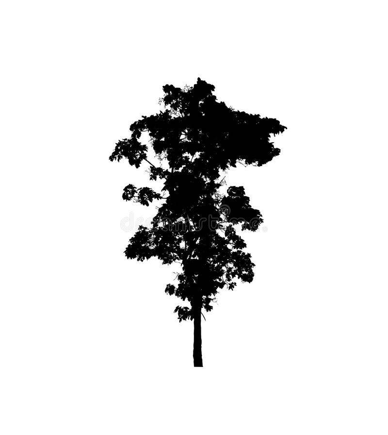Tree Silhouettes Isolated on a White Background Stock Photo - Image of ...