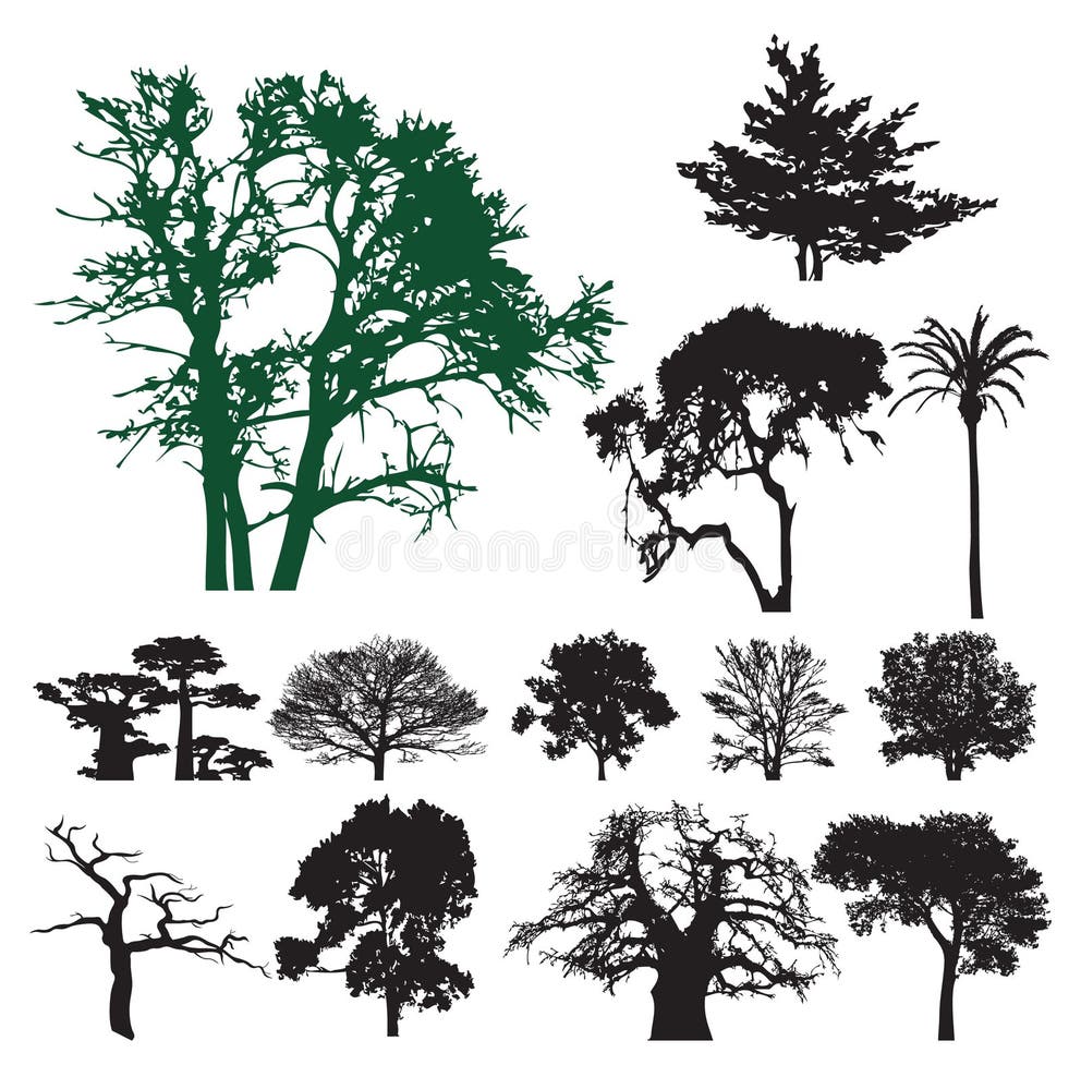 Chestnut Tree Silhouette Stock Illustrations – 2,521 Chestnut Tree ...