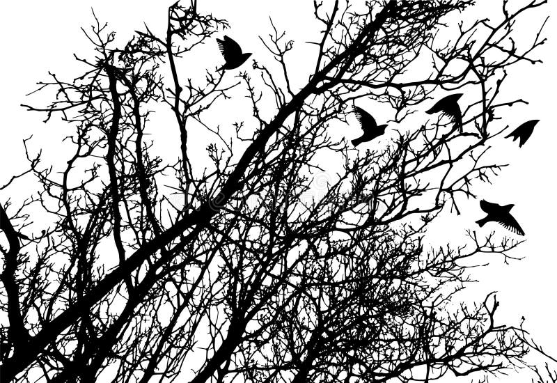 Tree Silhouette and Flying Birds. Hand Drawing Stock Vector ...