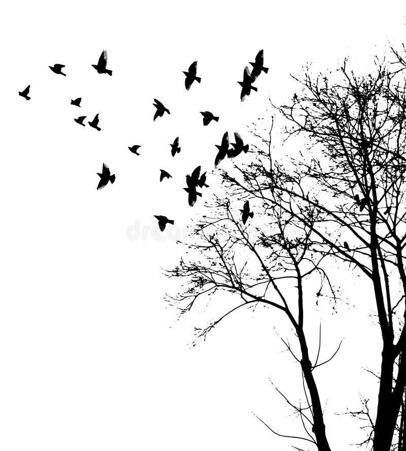 Tree Silhouette and Flying Birds. Hand Drawing Stock Vector ...
