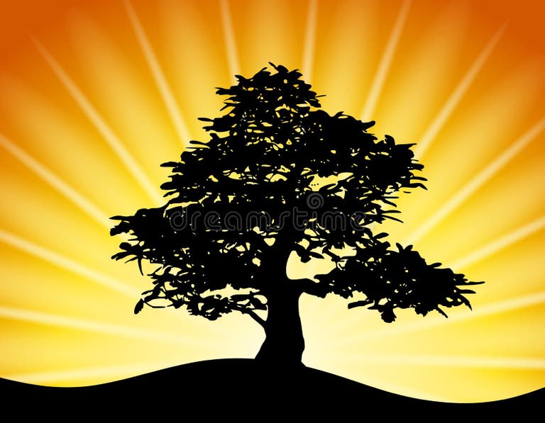 Tree Sun Rays Stock Illustrations – 12,801 Tree Sun Rays Stock ...