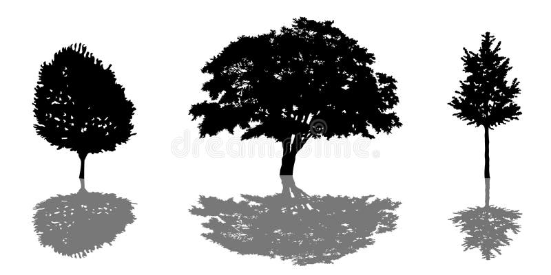 Tree Silhouette Icon Set with Shadow. Stock Illustration - Illustration ...