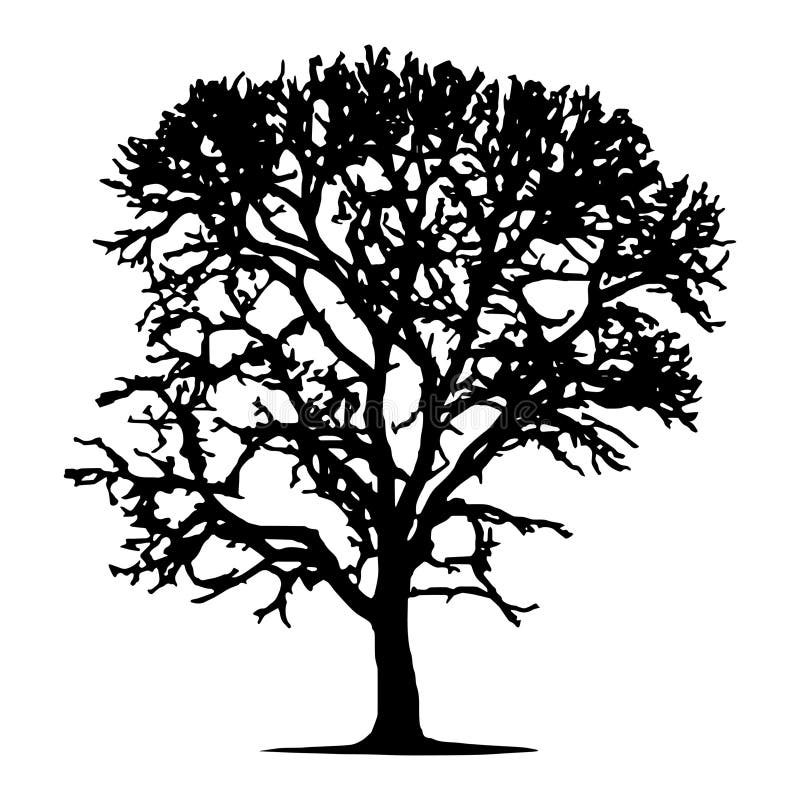Tree Silhouette Isolated Vector Template 3 Stock Vector - Illustration ...