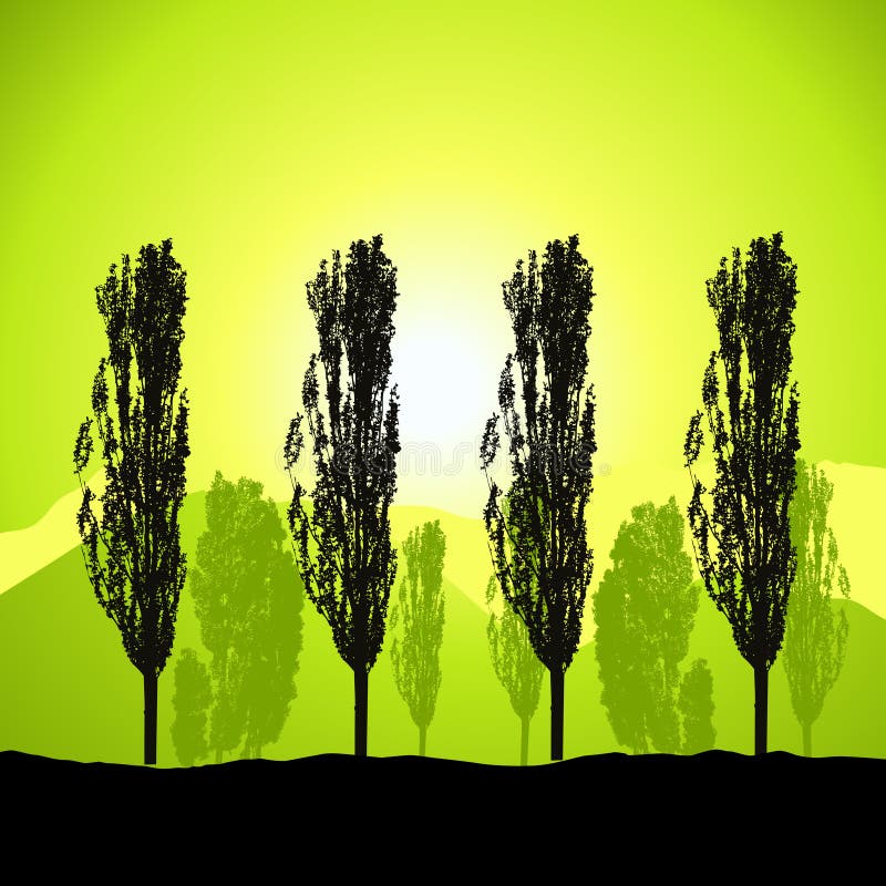 Tree silhouette, landscape stock vector. Illustration of bright - 6527703