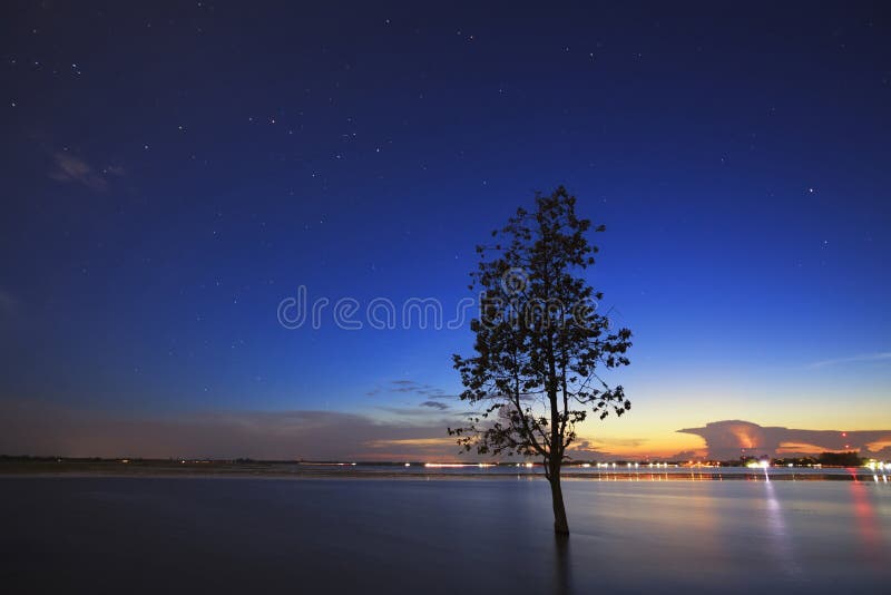 The Tree Silhouette Leaning Over Lake in Surin Stock Image - Image of ...