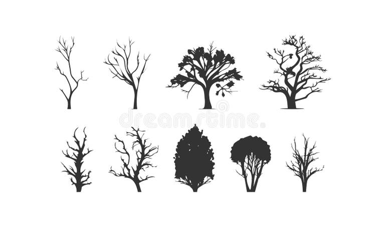 Tree Silhouette without Leaves Icon Set. Vector Illustration Stock ...