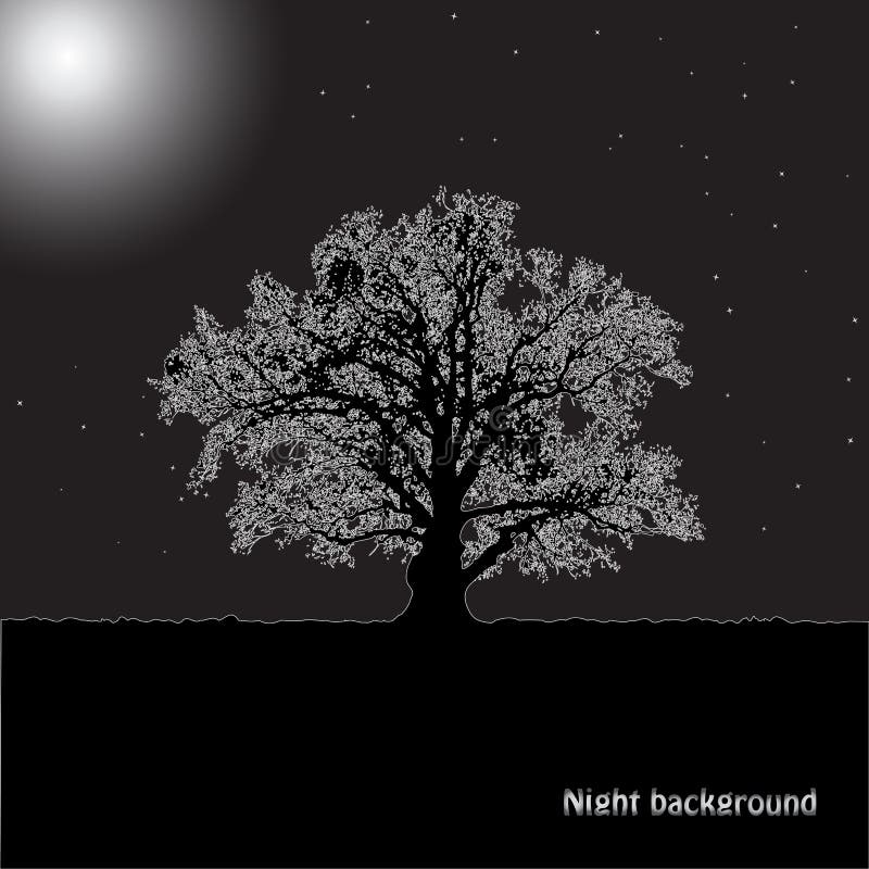 Tree Silhouette in a Moonlight. Stock Vector - Illustration of meadow ...