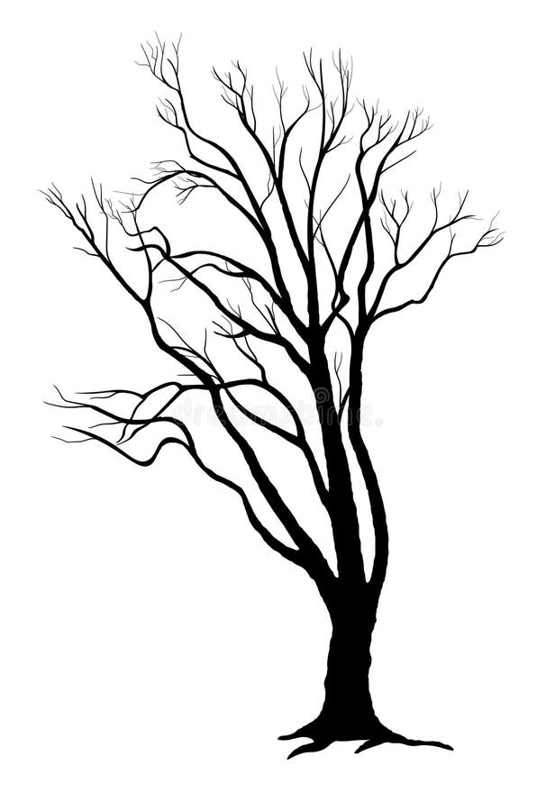 Several Leafless Trees Stock Illustrations – 8 Several Leafless Trees ...