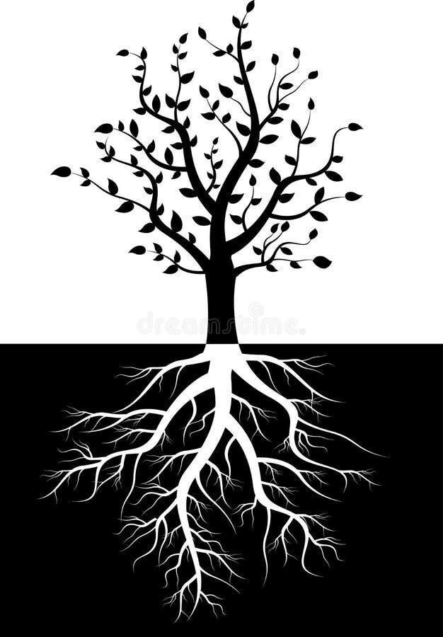 Tree silhouette with roots stock vector. Illustration of curled - 33418293 Tree silhouette with roots stock vector. Illustration of curled - 33418293