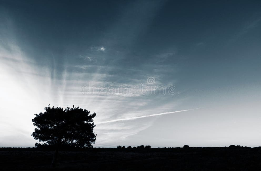 Light stock photo. Image of alone, blue, silhouette - 302468898