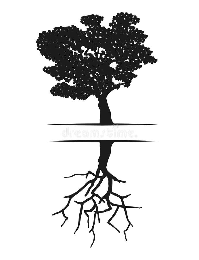 Tree reflection stock vector. Illustration of reflecting - 5895209