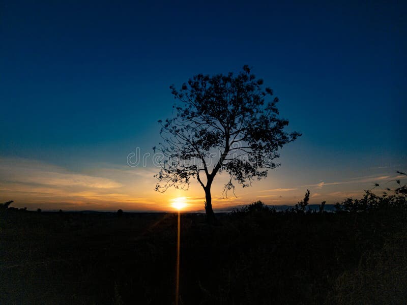 Tree Silhouette with Sunrise in the Morning Stock Image - Image of ...