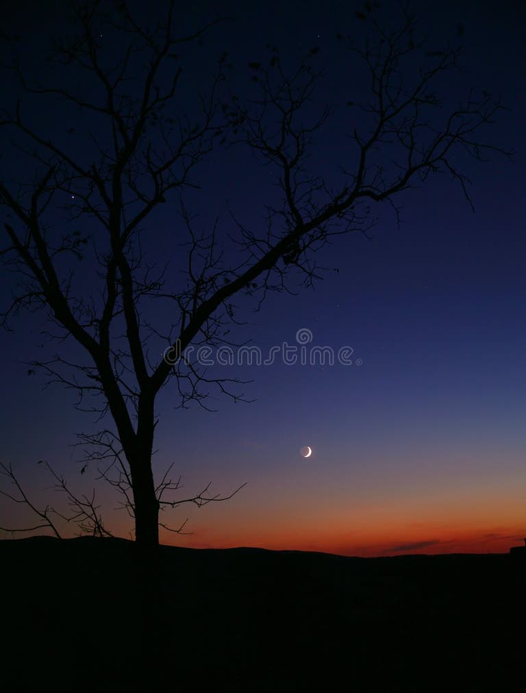 17,408 Black Star Silhouette Stock Photos - Free & Royalty-Free Stock ...