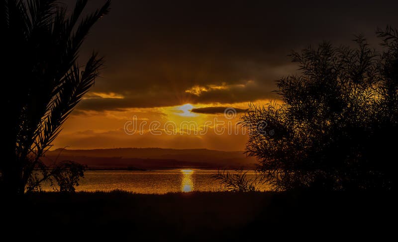 Tree Silhouette Sunset Background Stock Image - Image of clouds ...