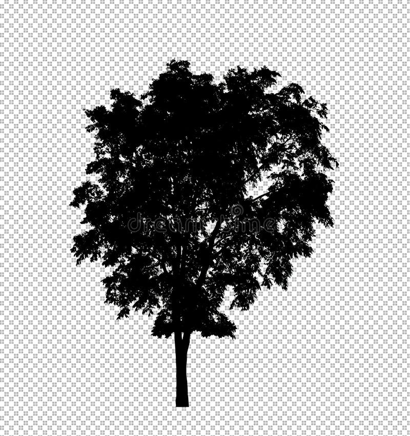 Alpha Transparent Trees Stock Illustrations – 289 Alpha Transparent ...