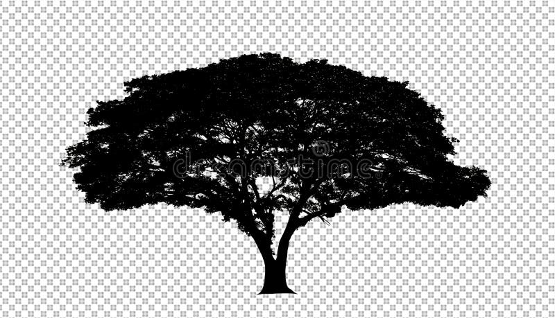 Alpha Transparent Trees Stock Illustrations – 306 Alpha Transparent ...