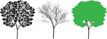 Chestnut Tree Silhouette Stock Illustrations – 2,521 Chestnut Tree ...