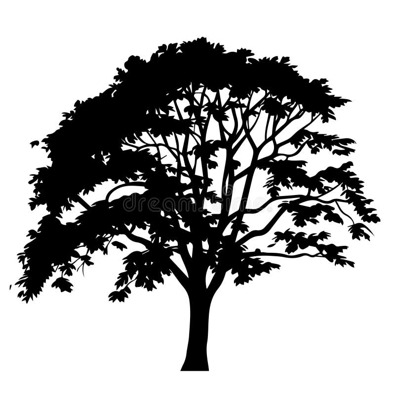Tree Silhouette Vector Art Illustration with White Background Stock ...