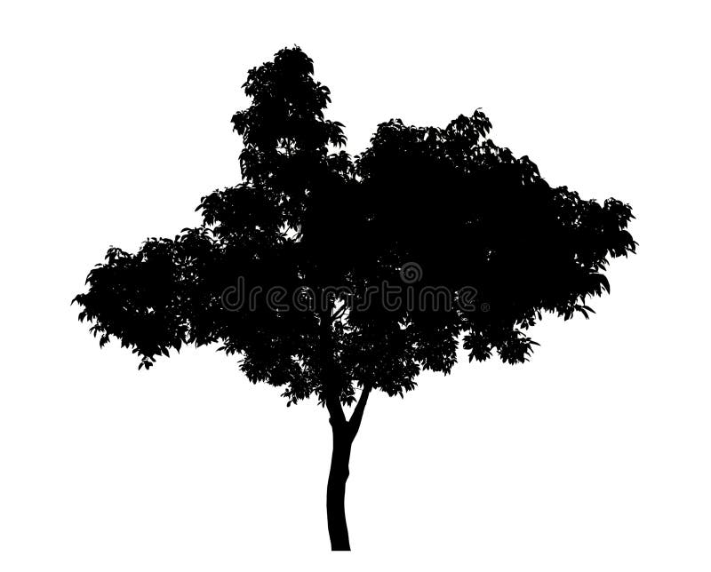 Tree Silhouette on White Background with Clipping Path and Alpha ...