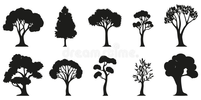 Tree Silhouettes Collection. Diverse Tree Shapes for Design and ...