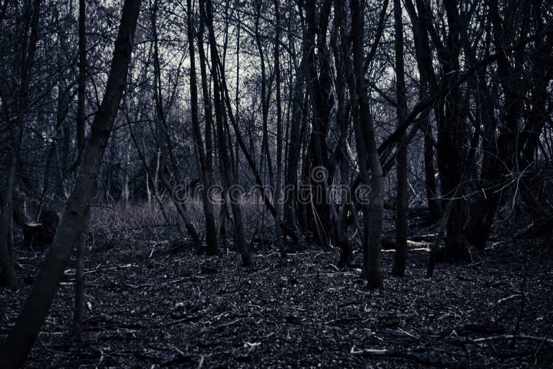 Goth Silhouettes Stock Photos - Free & Royalty-Free Stock Photos from ...