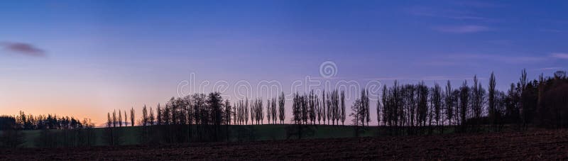 Tree Silhouettes on the Horizon at Sunrise Stock Image - Image of ...