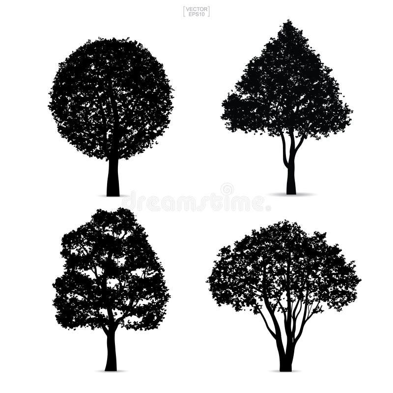 Tree Silhouettes Isolated on White Background for Landscape Design ...