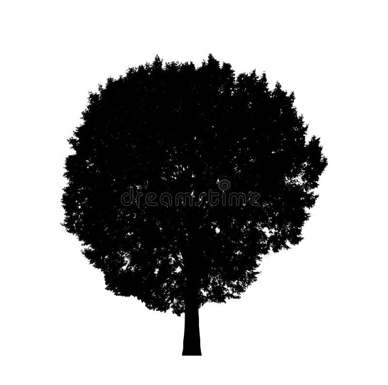 Tree Silhouettes Isolated on White Background . Stock Illustration ...